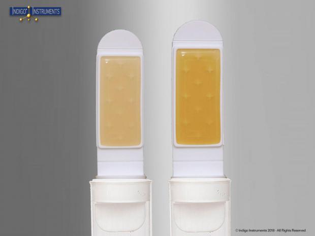 Microslides-Microbiology Culture Dishes on a Stick