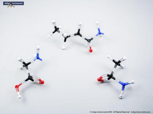 Organic Chemistry Compound Molecule Builder Model Set/Kit from Indigo
