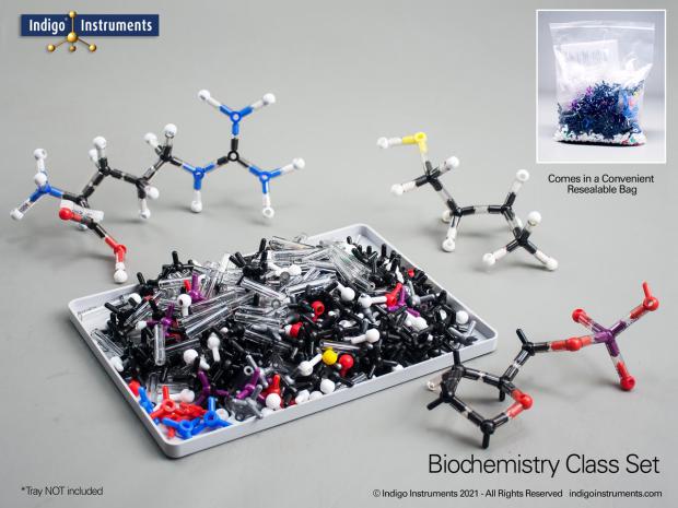 Orbit Biochemistry Molecular Model Class Set