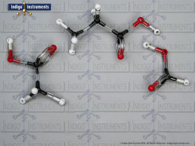 Organic Chemistry Compound Molecule Builder Model Set/Kit from Indigo