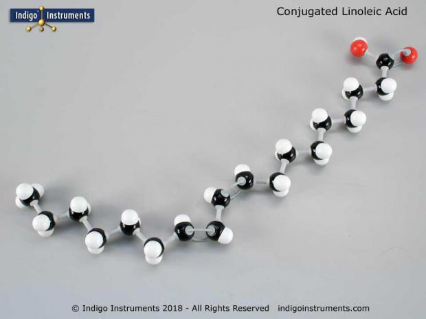 Conjugated Linoleic Chemical Structure Model Kit
