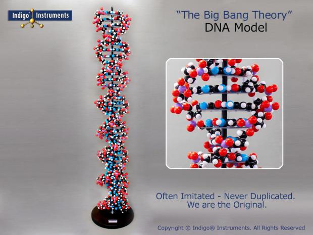 Indigo Big Bang Theory DNA Double Helix Molecular Model