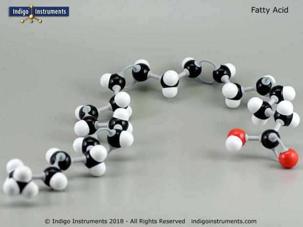 Molymod Fat (3 C20 models) molecular model kit