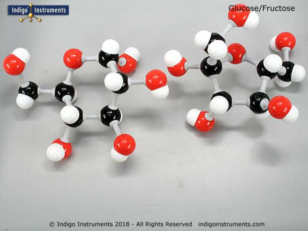 Glucose Molecule Models: Glucose Structure Model Kit