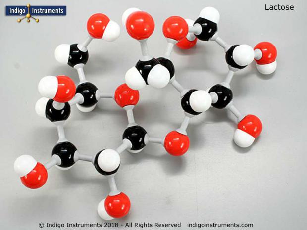 Molymod Glucose (3 molecules) molecular model kit
