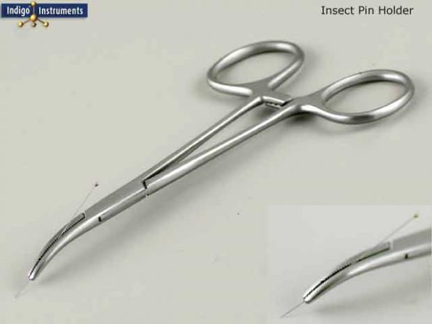 Halstead mosquito curved forcep insect pin holder