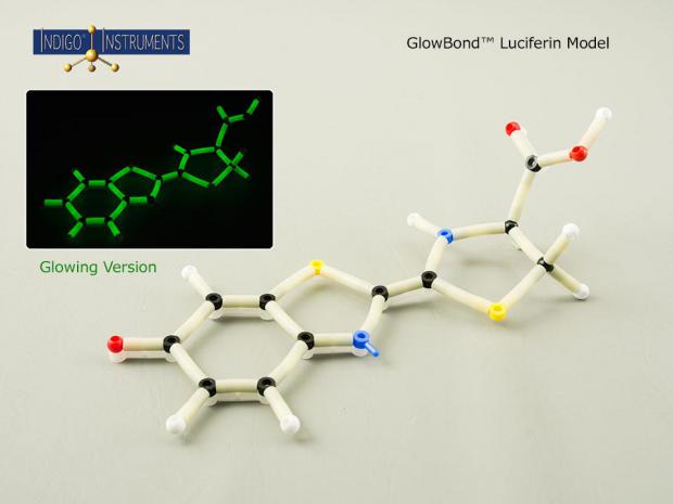 Luciferin Molecule Structure Model Kit w/ GlowBonds™