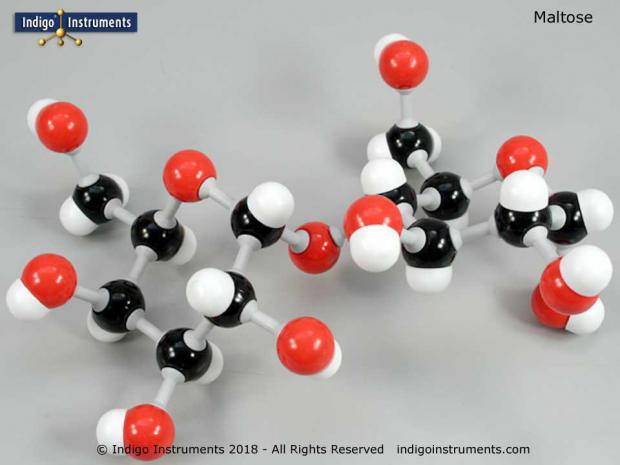 Molymod Glucose (3 molecules) molecular model kit