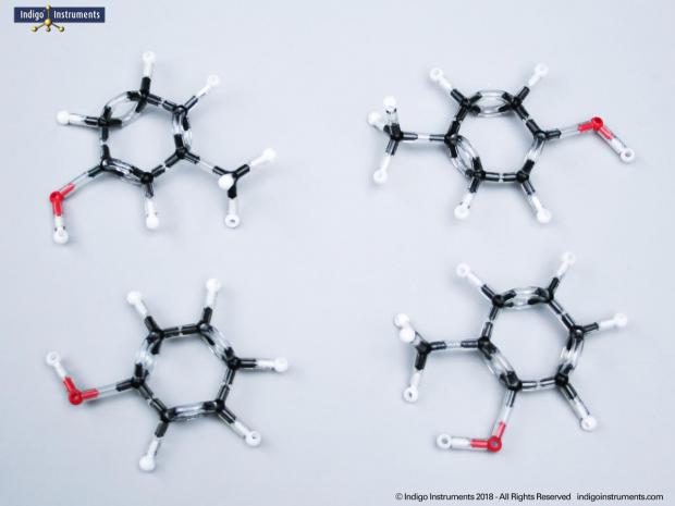 Organic Chemistry Compound Molecule Builder Model Set/Kit from Indigo