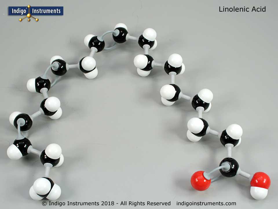 Linoleic Acid Structure Molecular Model Kit, from Indigo