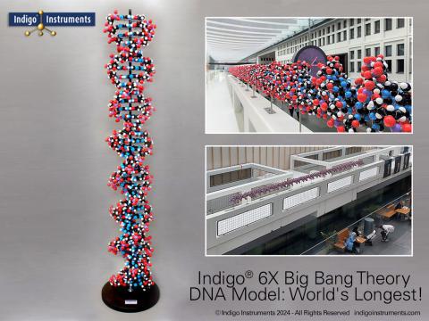 Indigo Big Bang Theory DNA Double Helix Molecular Model
