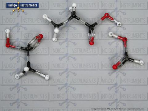 Organic Chemistry Compound Molecule Builder Model Set/Kit from Indigo