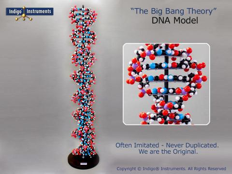 Indigo Big Bang Theory DNA Double Helix Molecular Model