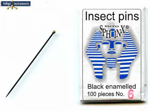 Insect pins, #6; 38x0.65mm, 100/pack, black enamel