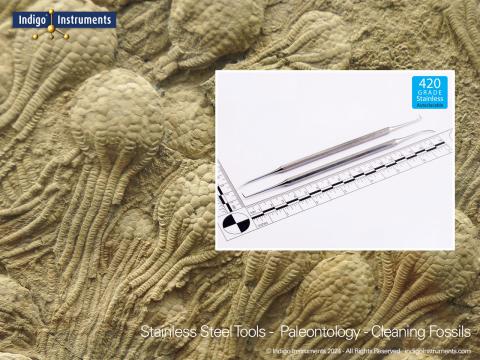 Paleontologist Fossil Cleaning Pick Tool for Sedimentary Rock