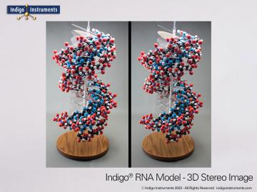 Indigo RNA Double Helix Molecular Model
