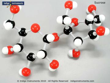 Glucose Molecule Models: Glucose Structure Model Kit