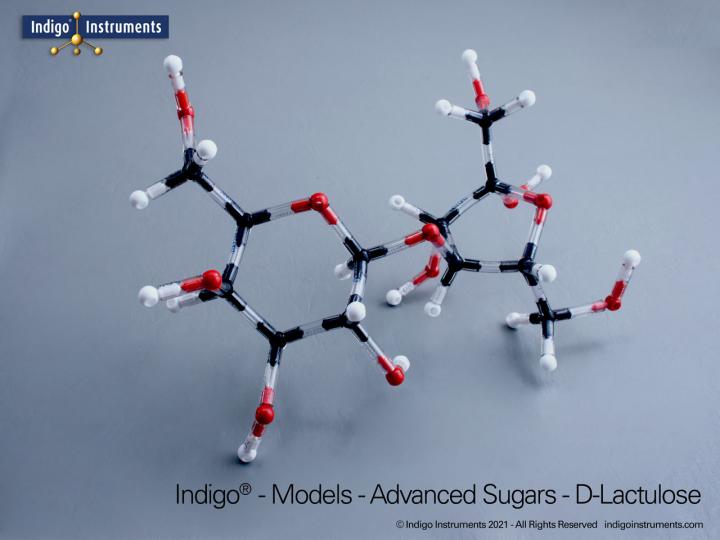 Sugar Structures Molecular Model Kit, Indigo