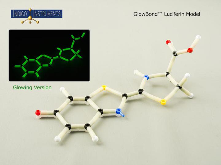 Luciferin Molecule Structure Model Kit w/ GlowBonds™