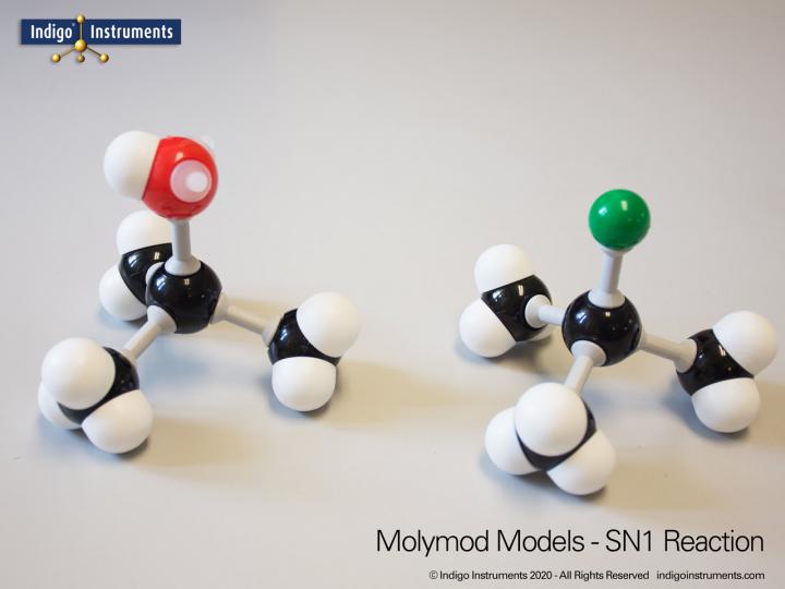 Molymod Student Molecular Model Set