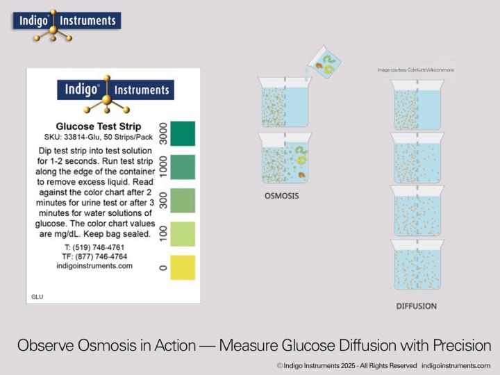 Glucose Osmosis Lab Test Strips, 0.1-0.01%, 50/pack, Indigo