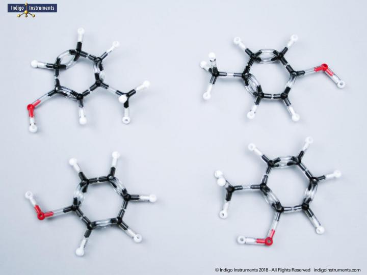 Organic Chemistry Compound Molecule Builder Model Set/Kit from Indigo