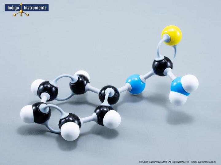 PTC-Phenylthiocarbamide Chemical Structure Model, Assembled, from Indigo