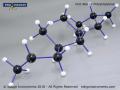 Unit Organic Chem. Large Lecture Hall Molecular Model Set