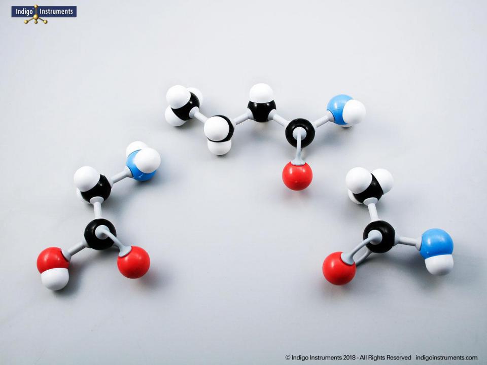 Molymod Student Molecular Model Set