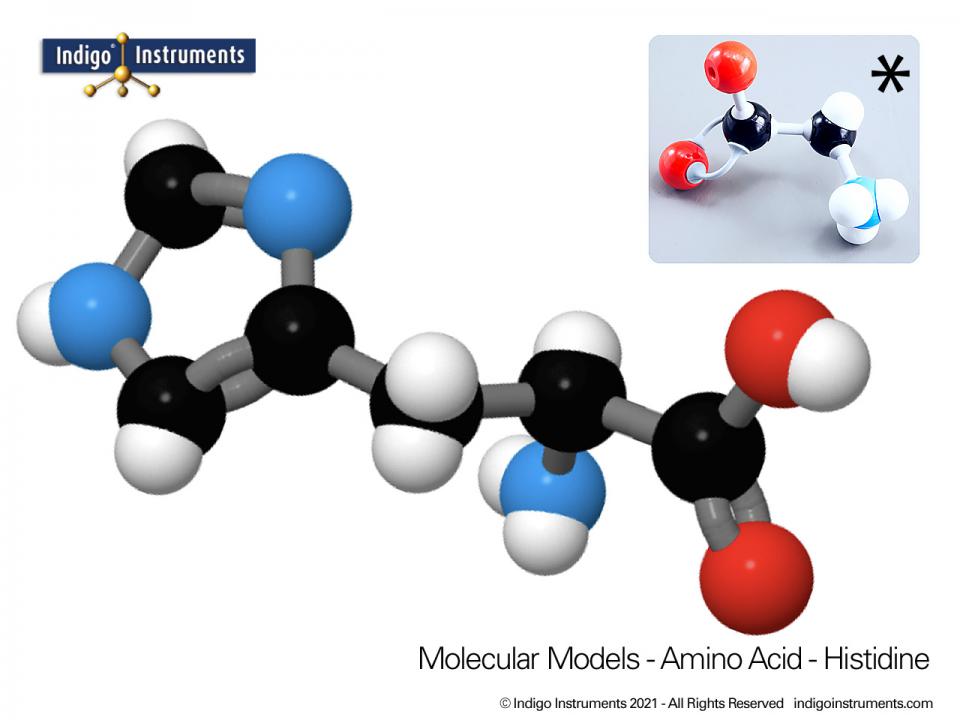 Histidine Amino Acids Structure