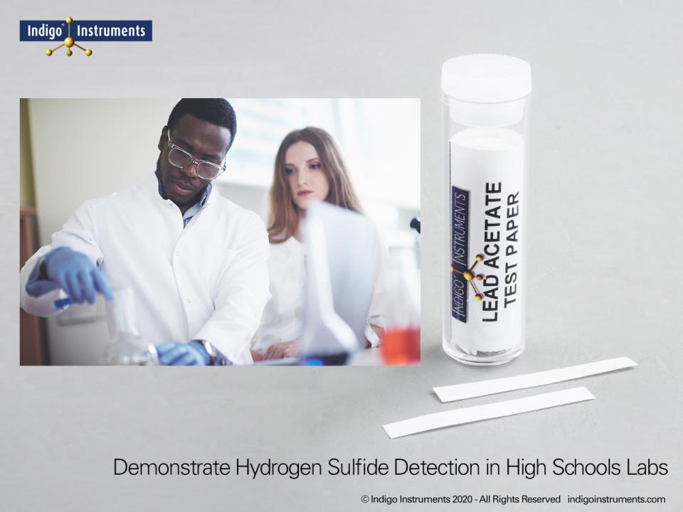 Lead acetate test strips, 100 pack