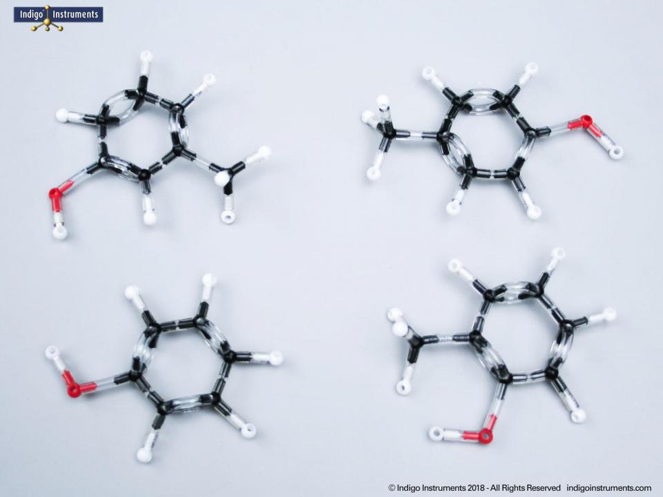 Organic Chemistry Compound Molecule Builder Model Set/Kit from Indigo