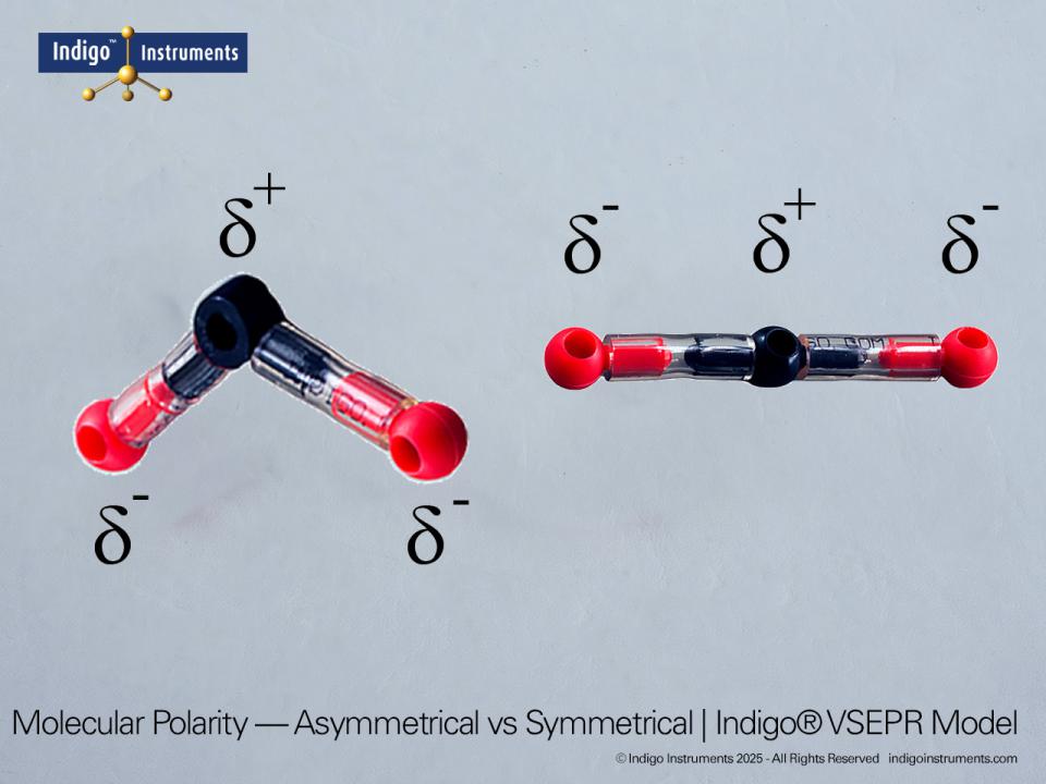 Indigo Shape of Molecules-Advanced Student VSEPR Theory Models