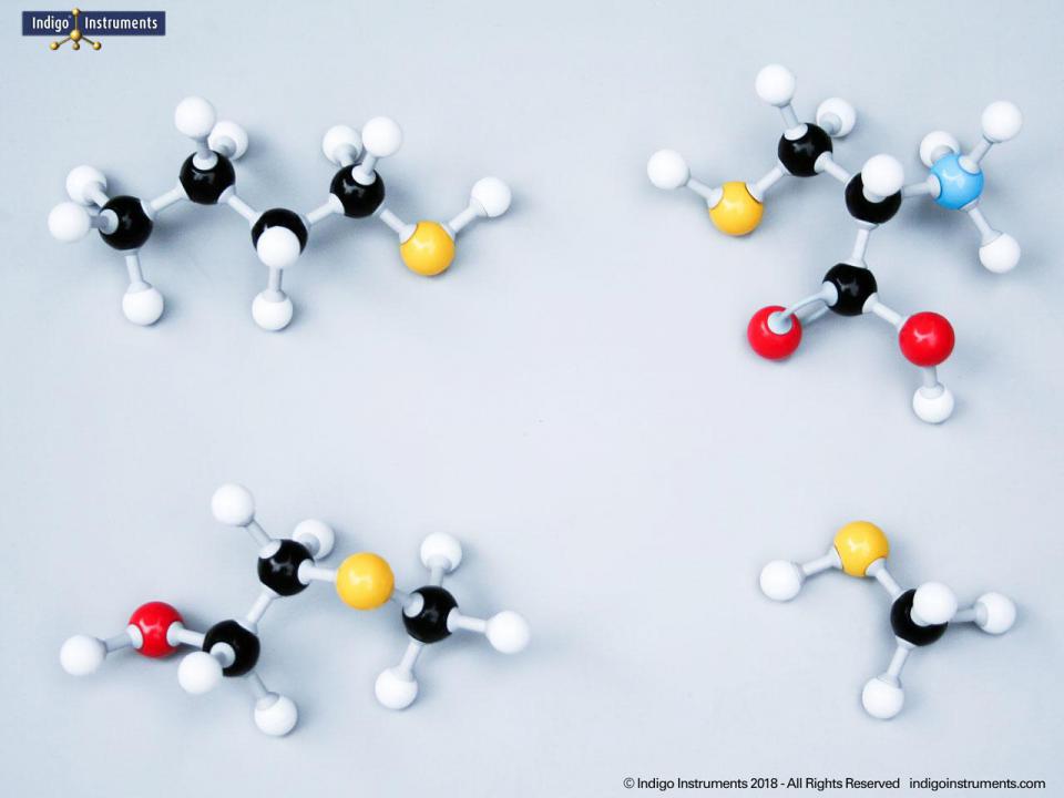 Molymod organic/inorganic molecular model set-Jr. college