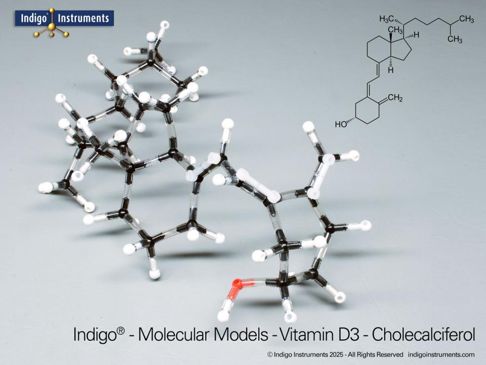 Fat soluble vitamins models kit (4 models) from Indigo