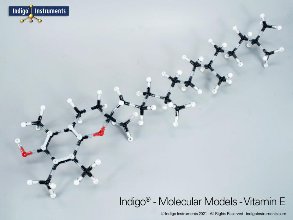 Fat soluble vitamins models kit (4 models) from Indigo