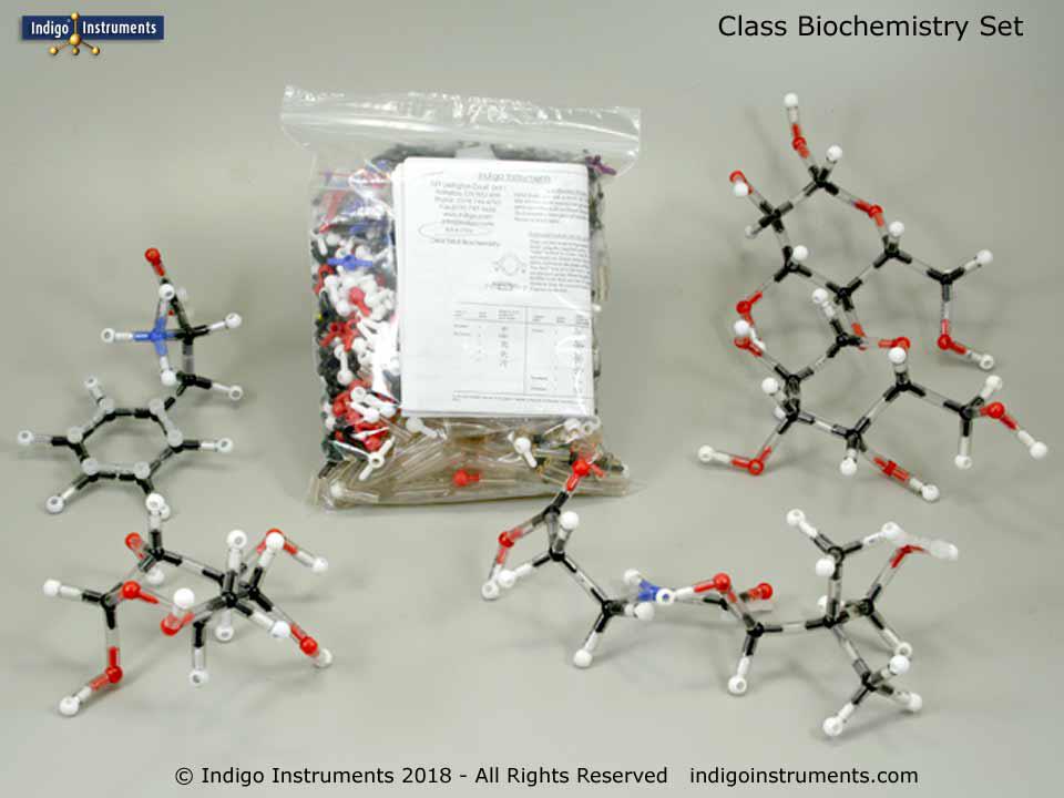Orbit Biochemistry Class Molecular Model Set