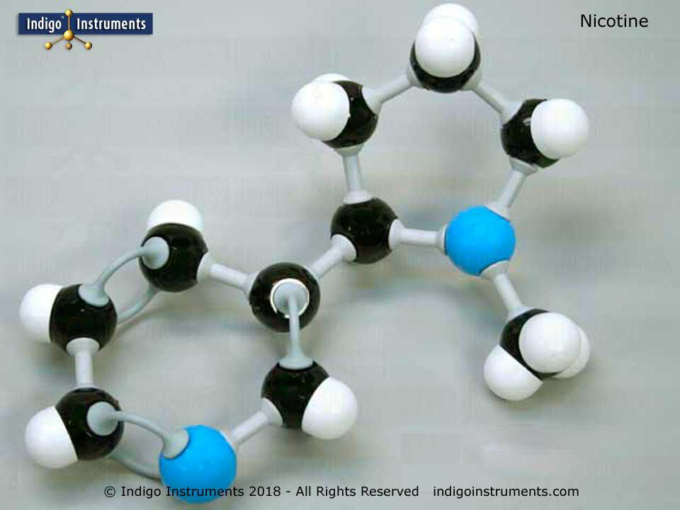 Nicotine Structure Molecule Model from Indigo