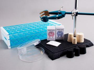 Science Supplies for Home, School: Brand Name Quality for Less